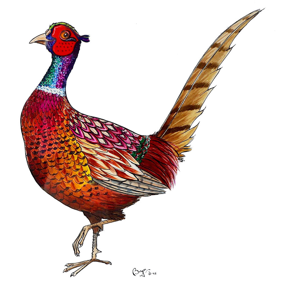 Original Artwork – Bryn Parry Studios